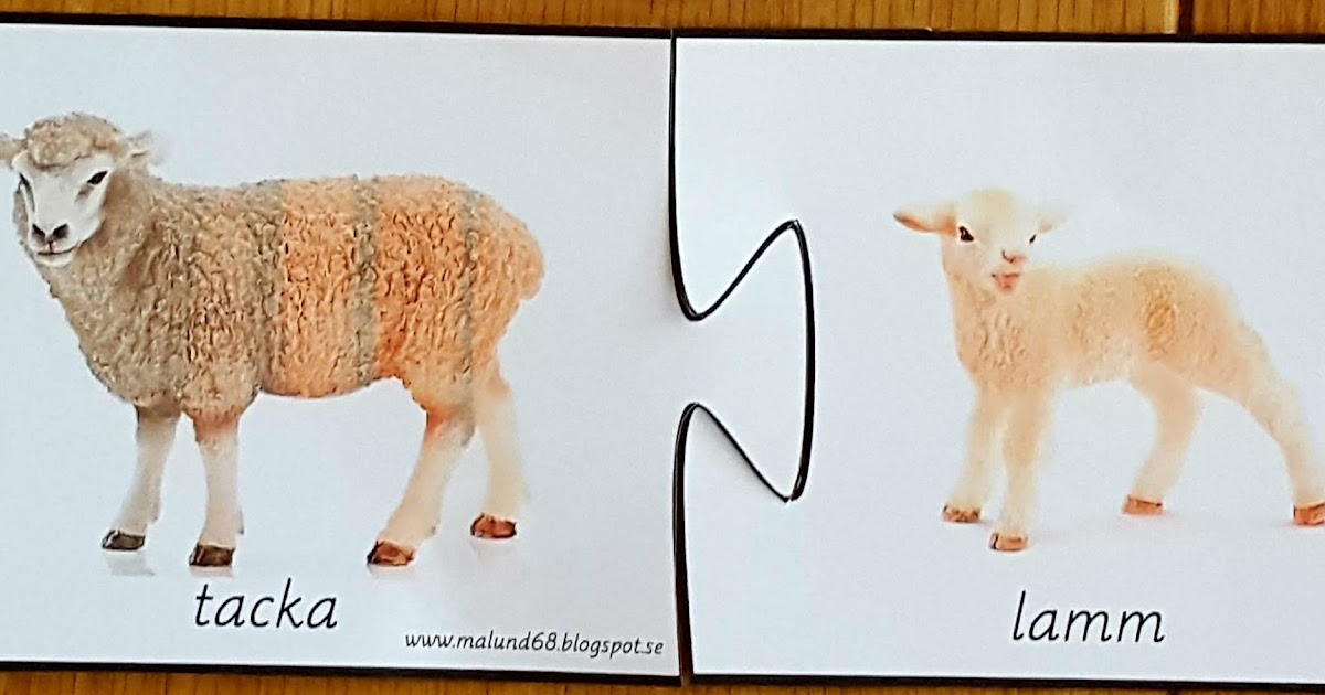 Min blogg om allt mellan himmel och jord: Gratis material till förskola ...