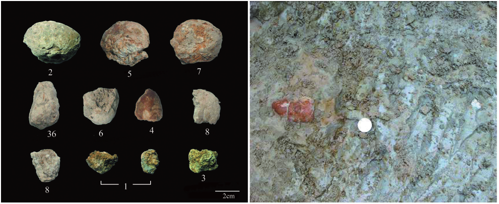 Paleontología y Evolución en la UCM: Coprolitos. Otra entrada de mierda