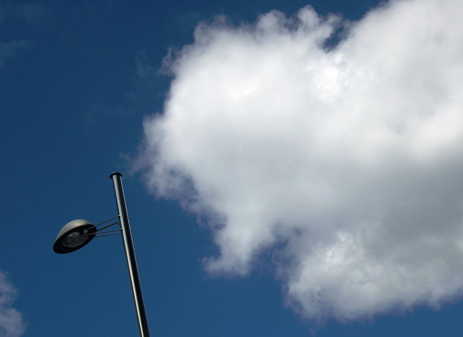 Axul-axula y de cuando en ves, un flor...