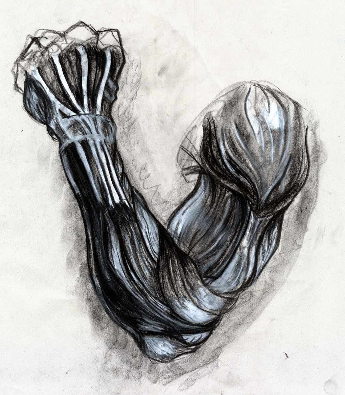 Adam Daniels: Life Drawing 2011