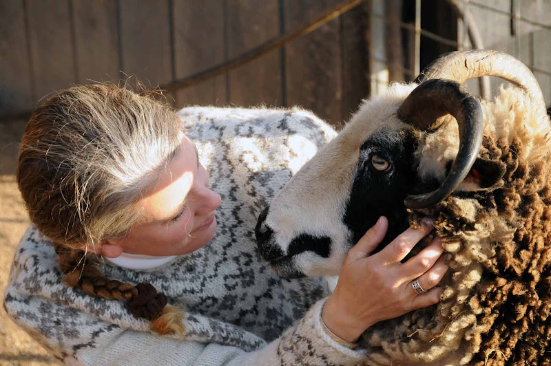 Punkin's Patch: Jester's Sweater