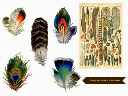 Altered Arts Magazine: Feather Studies