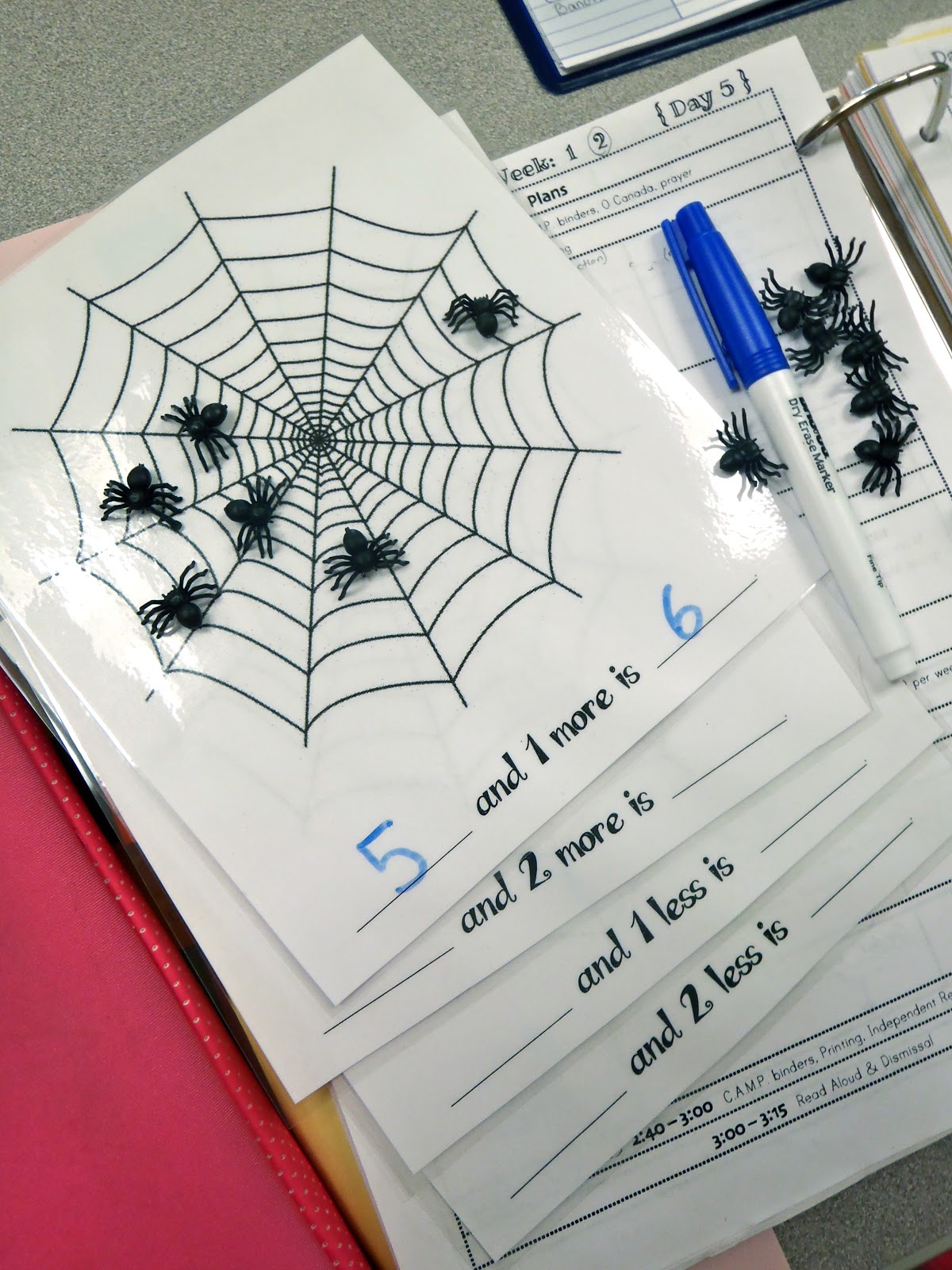 Fun With Firsties: Spider Celebration!