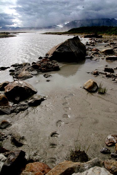 Alaska Glacial Mud: Alaska Glacial Mud is Dedicated to Eco Beauty!!