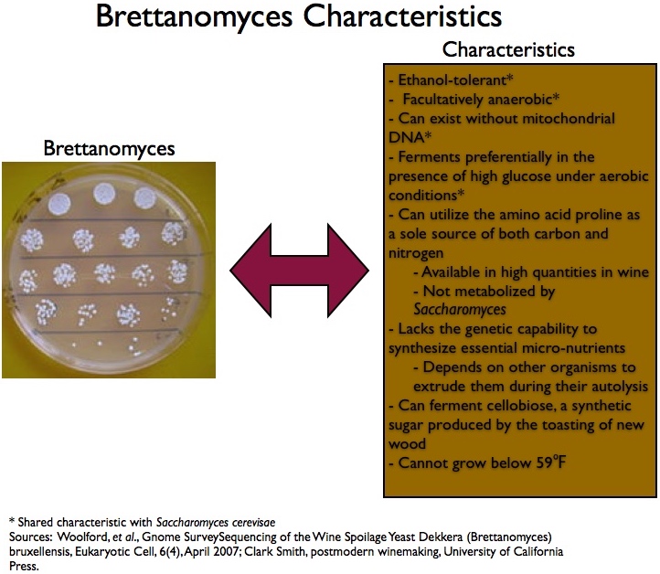 Wine -- Mise en abyme: Management of "Bad Brett": Part I, the ...