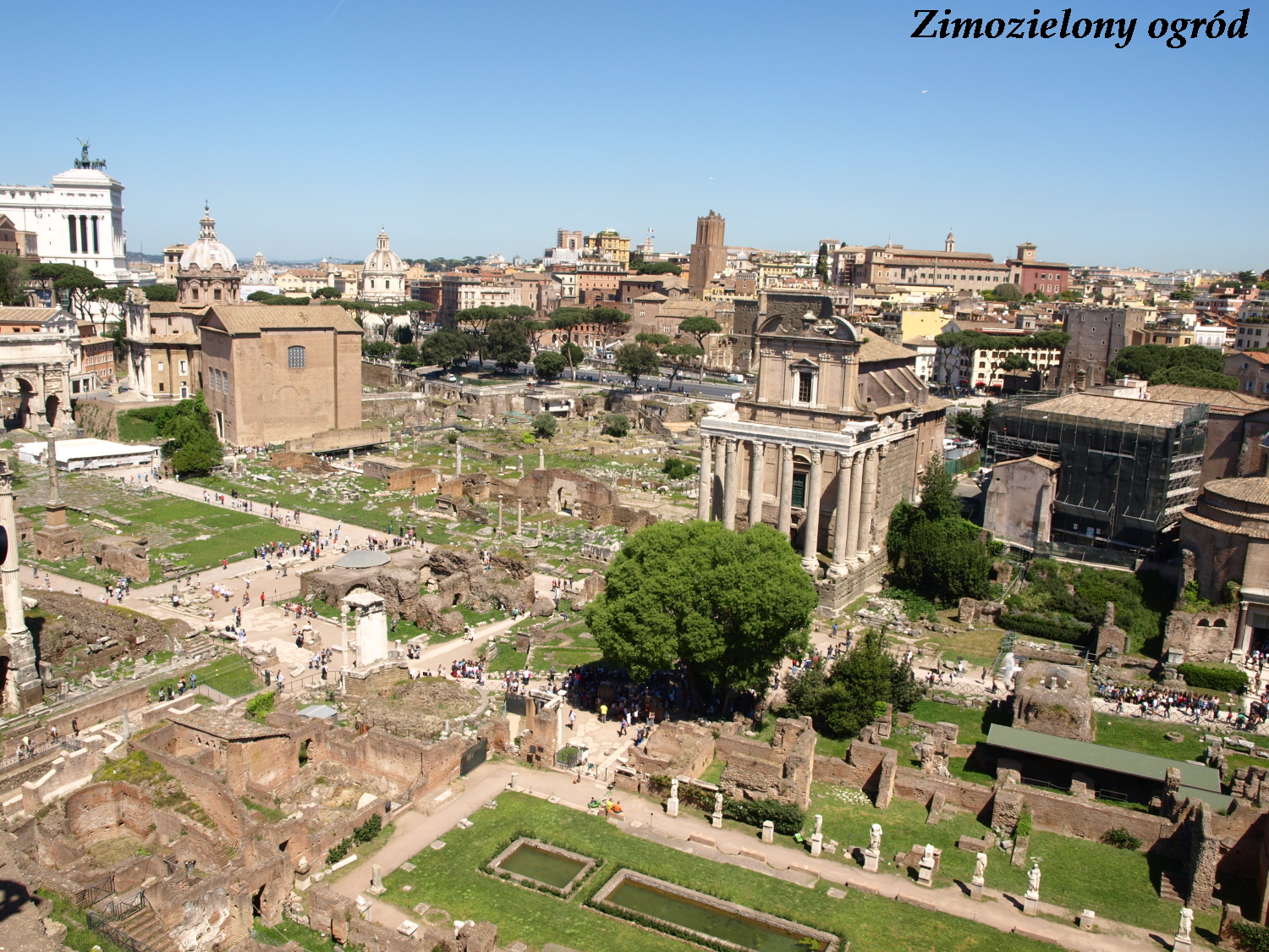 Zimozielony ogród: Rzym - Palatyn