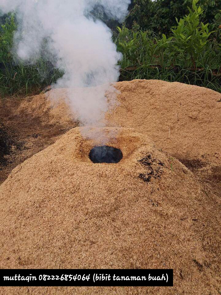 Tabulanpot: SEKAM BAKAR