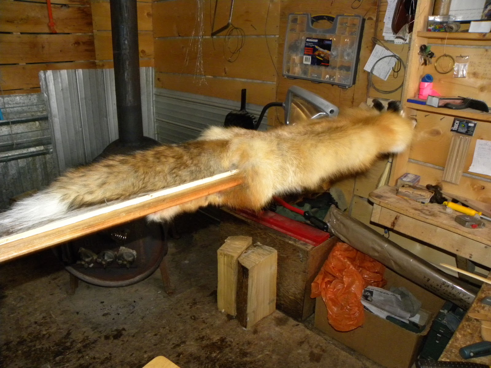 The Happy Trappers 2 Sixth Year: Fox Trapping, and handling Fur