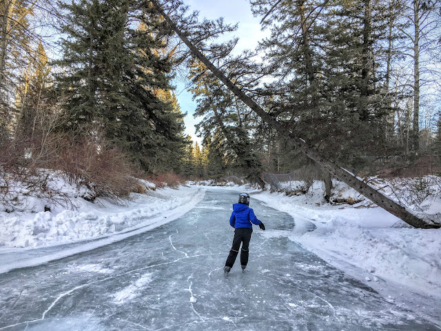 Family Adventures in the Canadian Rockies: Wild Mountain Skating Guide ...