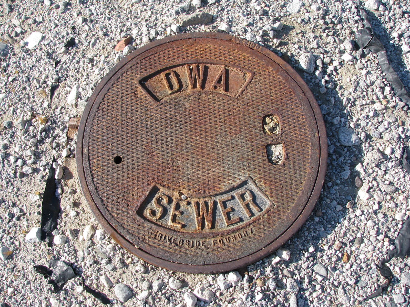 Pausing at the Trumpet Vine: August 2012