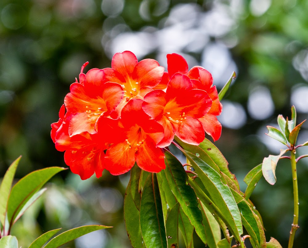 Bfb`s Outdoor Ramblings: Philippines 2014 - Pt 1 Mindanao