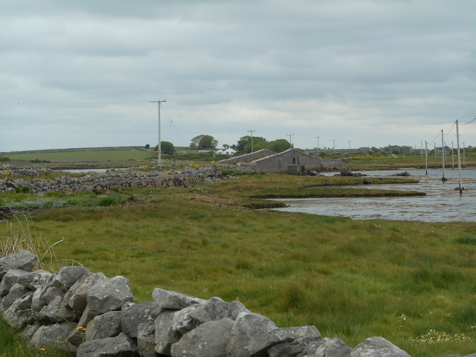 A lifetime of Islands: Island 380 - Tawin East/Tamhain Thoir, County Galway