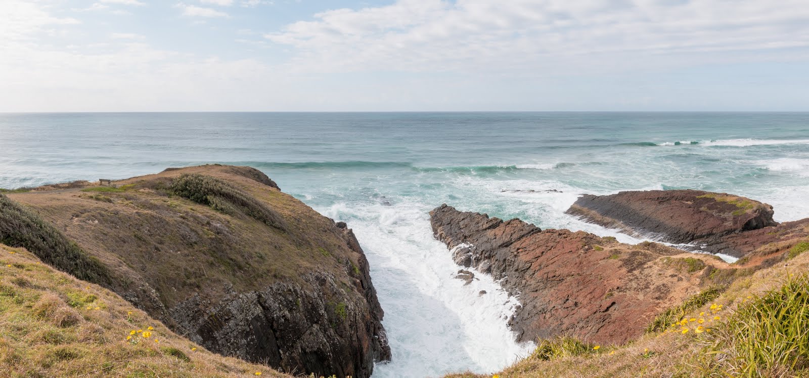 National Park Odyssey: Walks and Wildlife from Point Plomer Campground ...