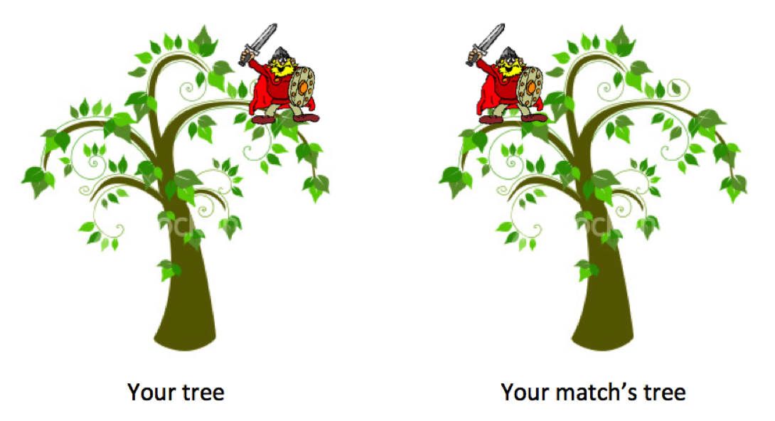 DNA and Family Tree Research: Step 2 – Is the common ancestor obvious?