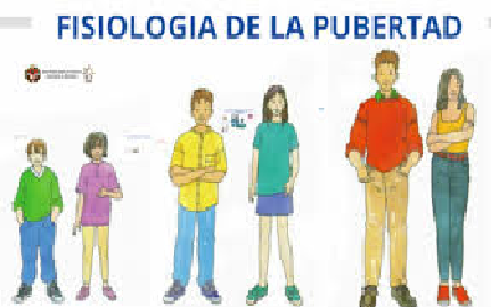 la pubertad en los niños y jovenes