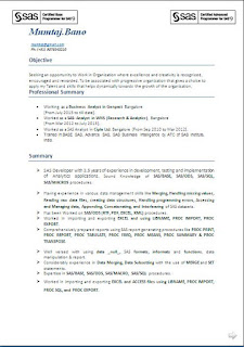 SAS Developer Resume Format in Word Free Download