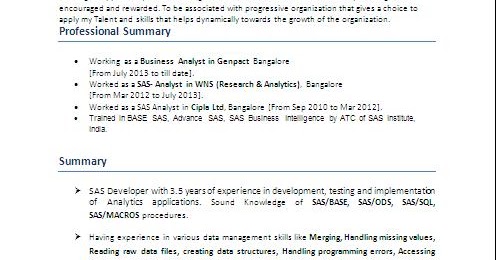 SAS Developer Resume Format in Word Free Download