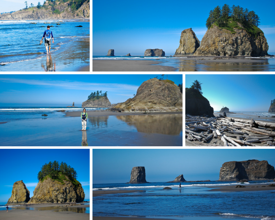 Run-Hike-Play: TBT Hiking Post - Olympic Peninsula Day 2: Second Beach ...