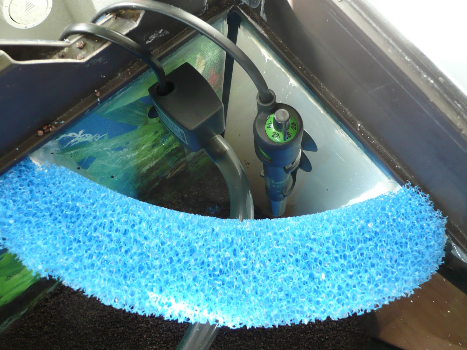 Unterfrankes Welt: Hamburger Mattenfilter (HMF) in meinem Aquarium