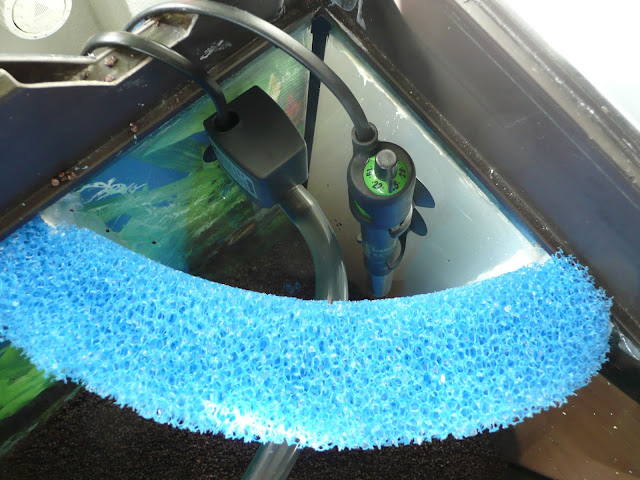 Unterfrankes Welt: Hamburger Mattenfilter (HMF) in meinem Aquarium