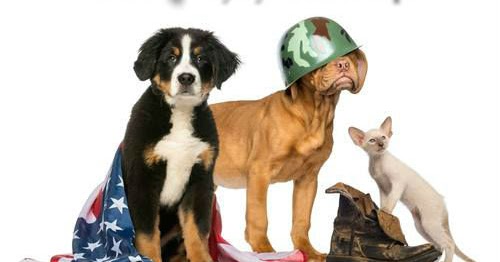 Life With Beagle: 4 ways to help human and canine veterans every day