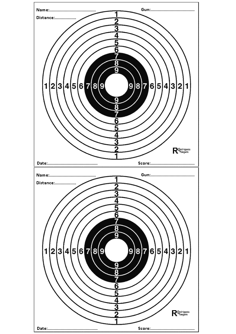 Airsoft Tir I Airsoft România Blog: Ţinte pentru tir de interior ...