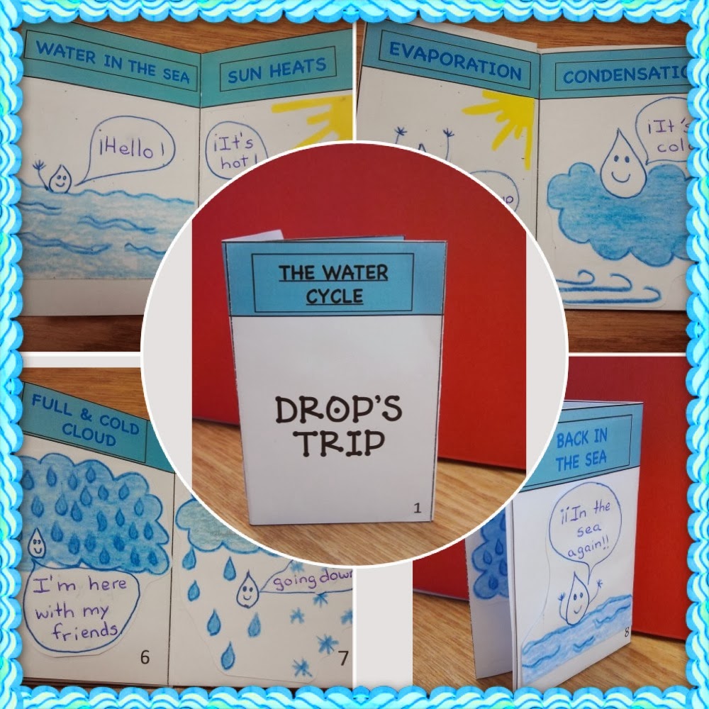 Water cycle