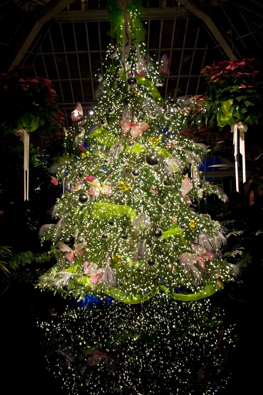 Pick A Little, Talk A Little: December Things