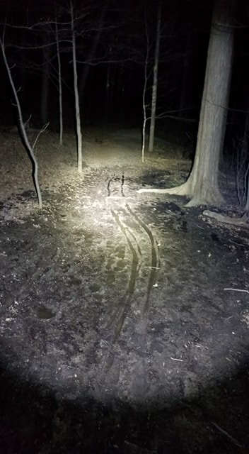 CWF Custom Flashlights, LEO M1 light