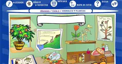 Animales y plantas | Todo primaria