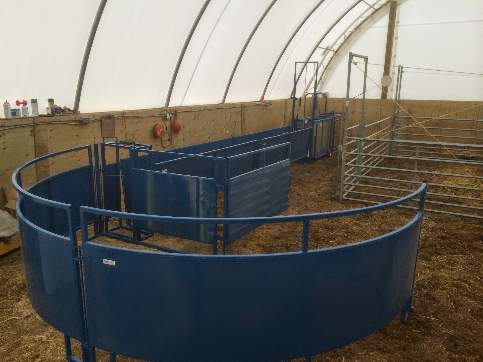 Living Sky Ranch: New Sheep Handling Equipment