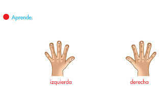 SOY PRIMER...: POSICIONES EN EL ESPACIO: DERECHA E IZQUIERDA