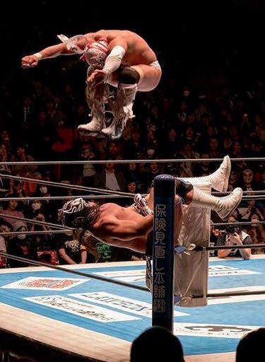 Beefcakes of Wrestling: Beefcakes In Action