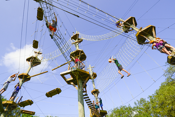 In Transit - The Official HART Transit Blog: Route of the Week: MetroRapid