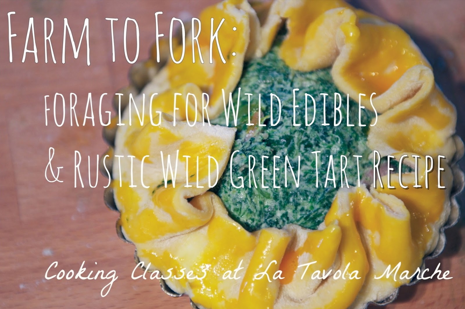 La Tavola Marche Recipe Box: Video Recipe: Savory Rustic Tart with Wild ...