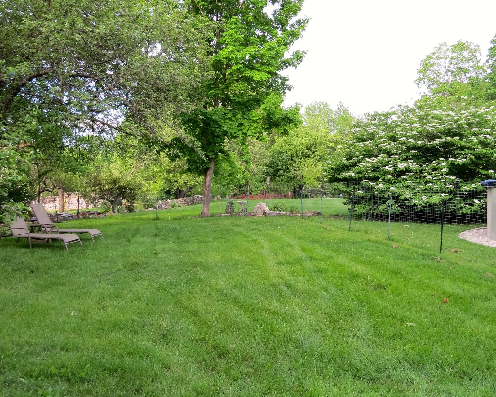 The Long Awaited Home: Our Great Big Summertime Yard Tour