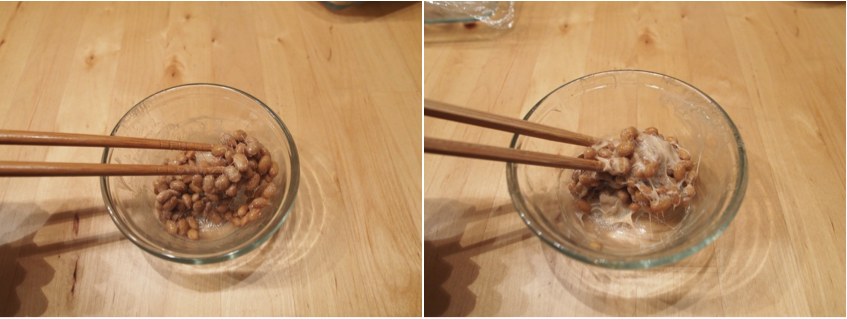 Homemade Natto in the US: Two Frozen Natto Starters Compared