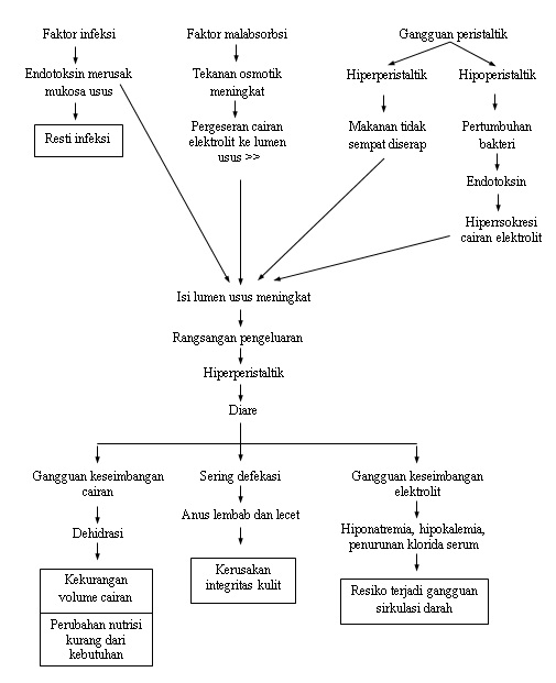 ASUHAN KEPERAWATAN KLIEN DENGAN DIARE | Share Keperawatan