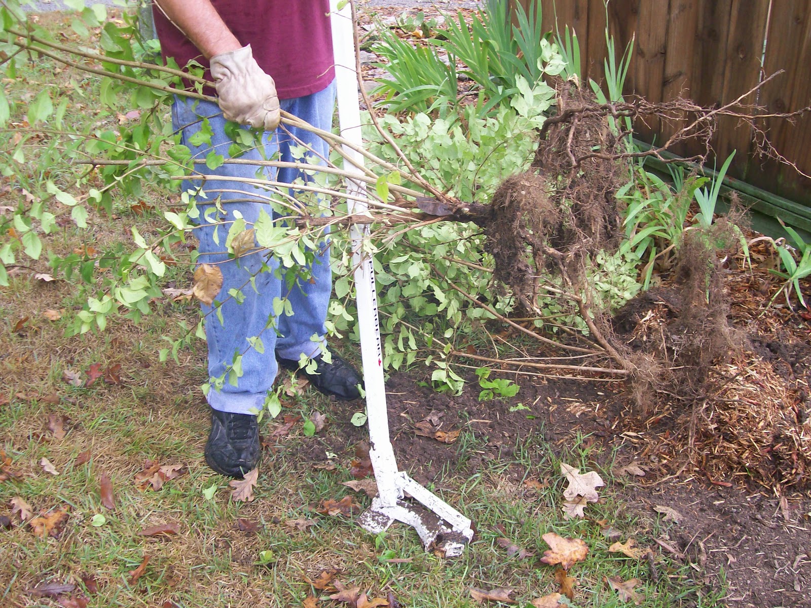 Intuitive Value: Getting Busy in Autumn