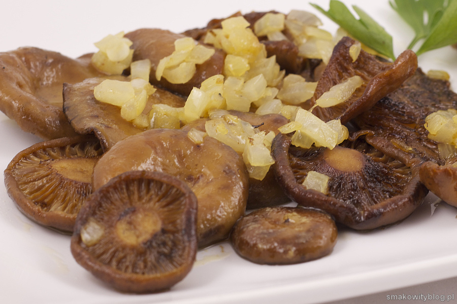 Mleczaj rydz - Rydz - Smakowity blog