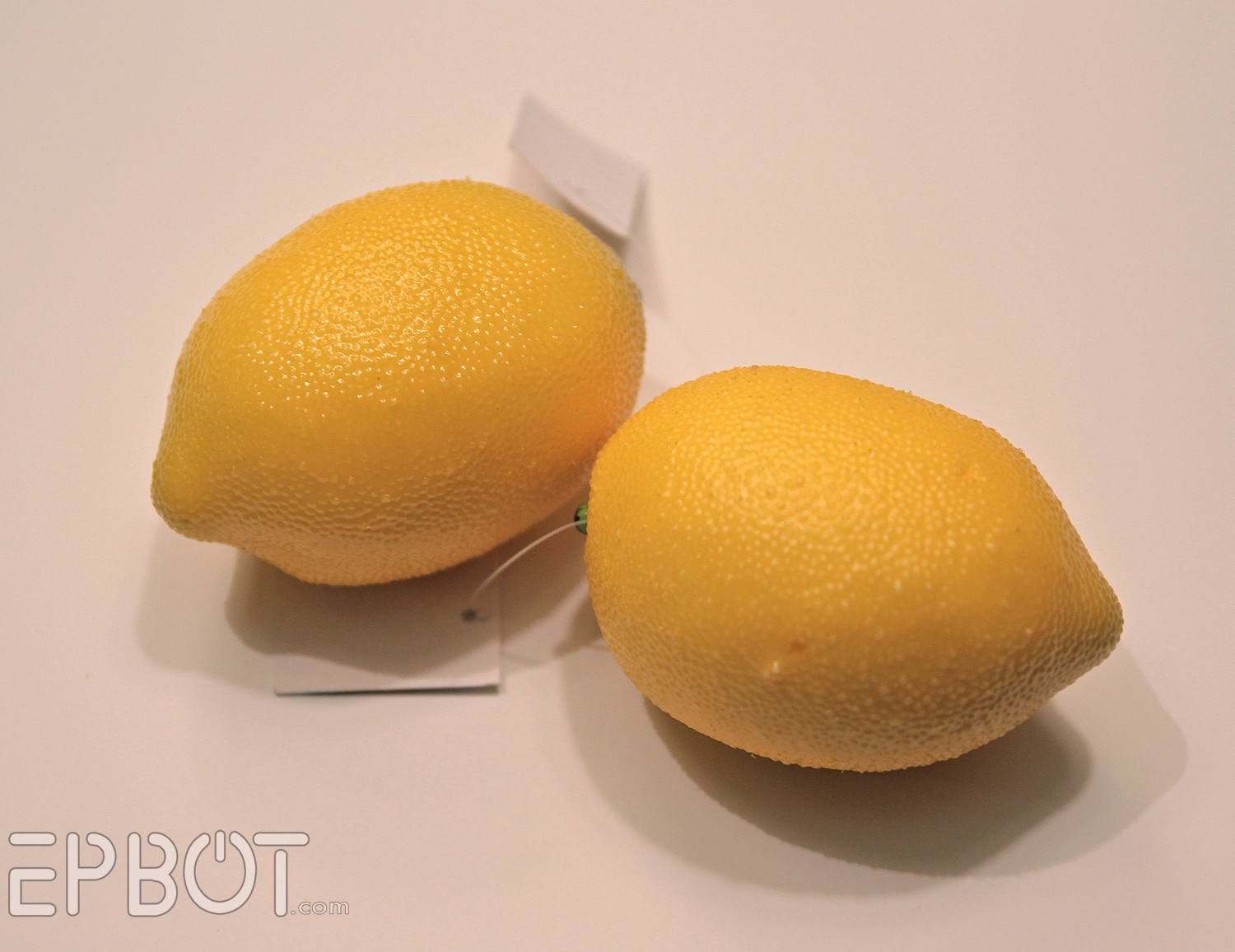 EPBOT: DIY Portal 2 Lemon Grenade
