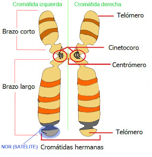 APRENDE y DISFRUTA con las CIENCIAS NATURALES: 2015