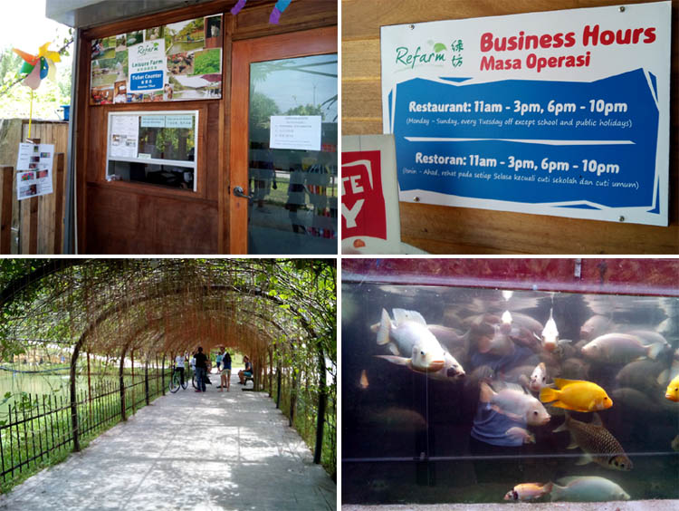 Some stories about us: Refarm, A Good Place for Short Rejuvenation in ...