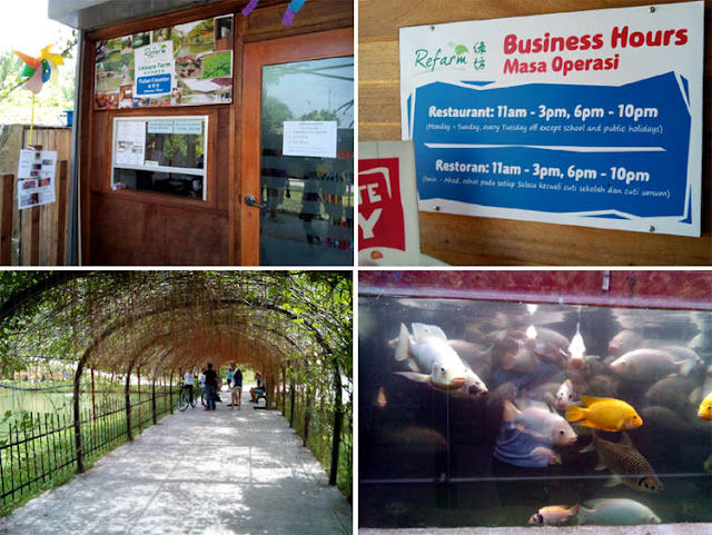 Some stories about us: Refarm, A Good Place for Short Rejuvenation in ...