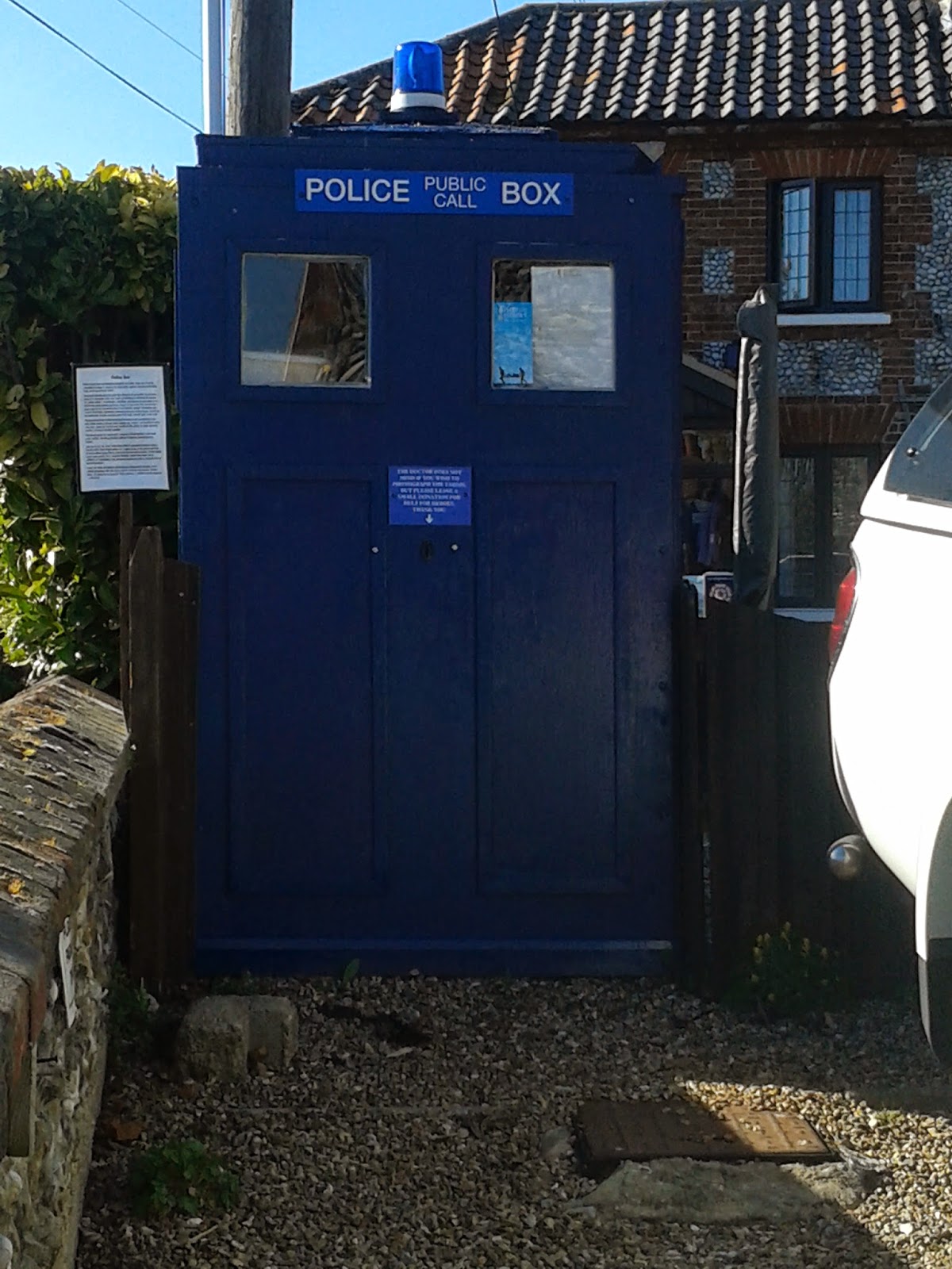 Janet Hyland's Paintings : Scribbles on Wood: A diagram of the Psyche ...