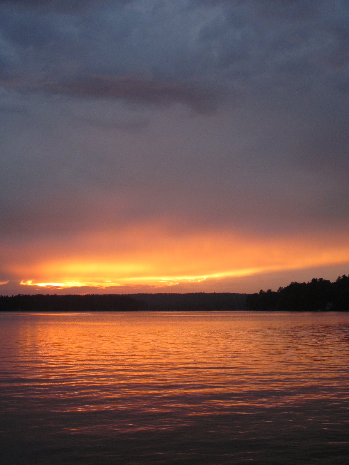 a life more awesome: Fernal Shores