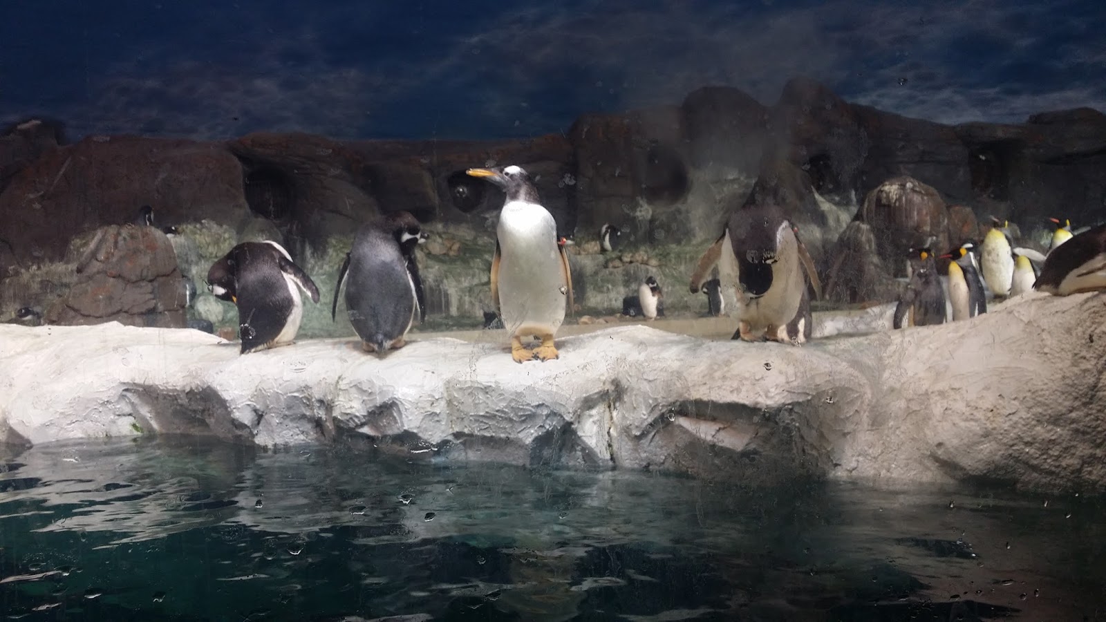 Francisco Cerrato Rubio: UN DIA DISFRUTANDO EN EL PARQUE TEMATICO DE ...