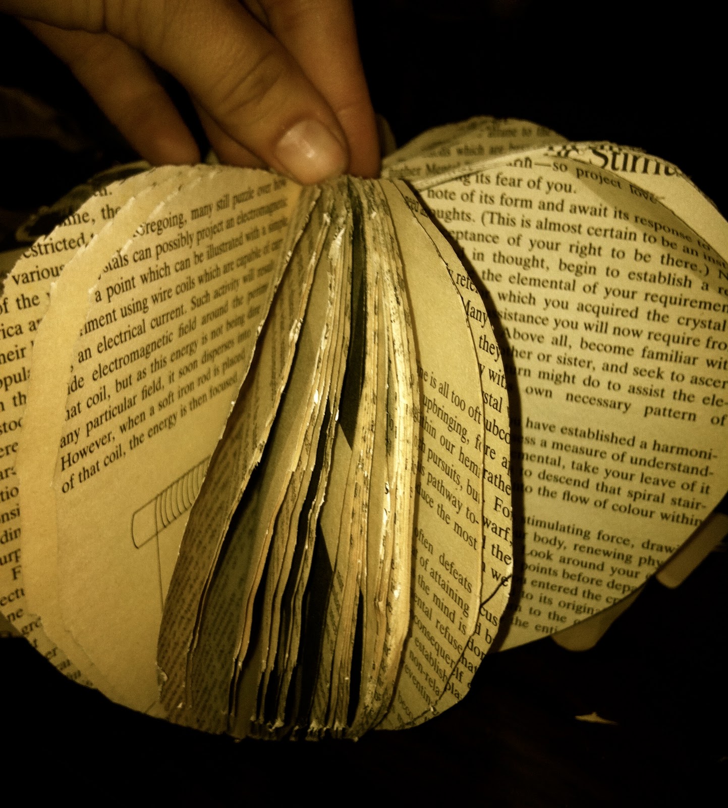 Bombshell Beauty-full: DIY TUTORIAL! Fall pumpkin decorations made from ...