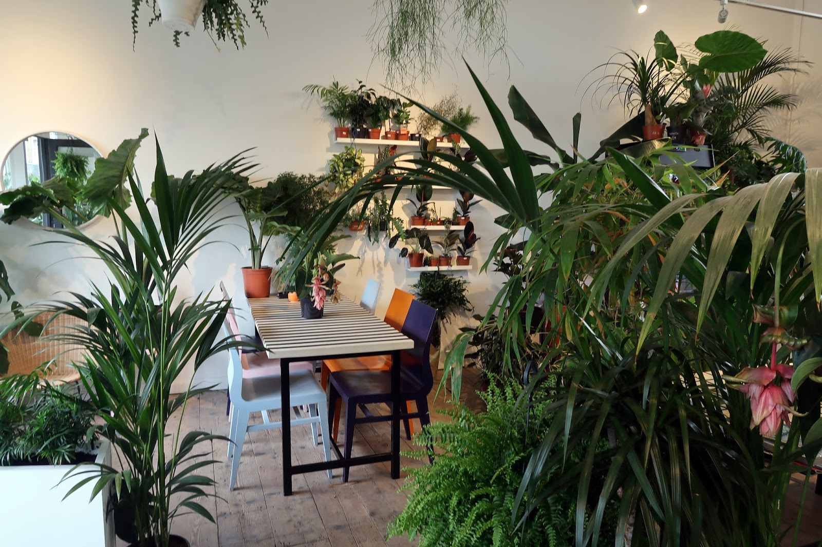 Double Skinny Macchiato: Curve Roasters and Other Adventures in Margate ...