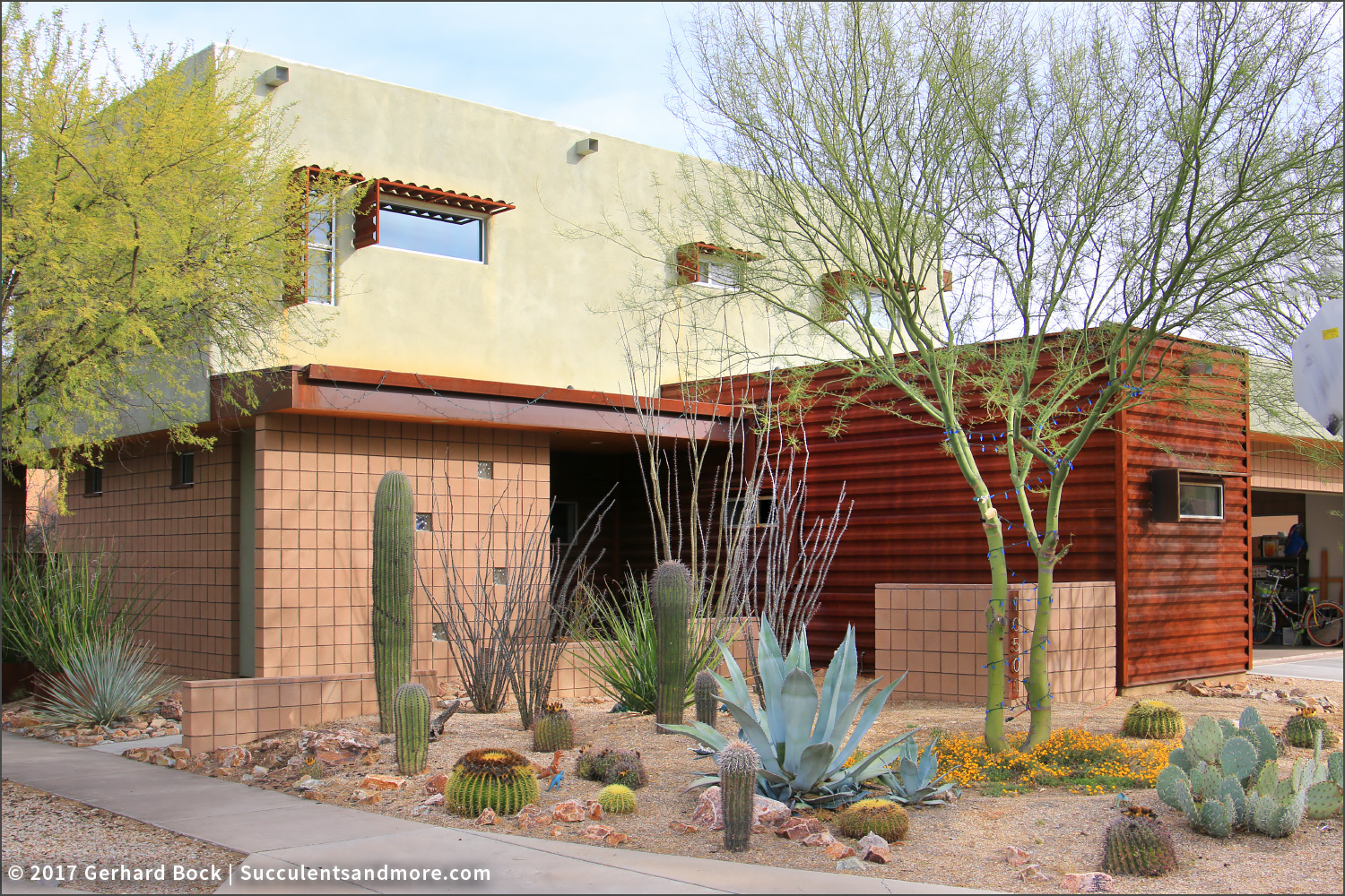 Tucson's Civano community: where I'd love to live